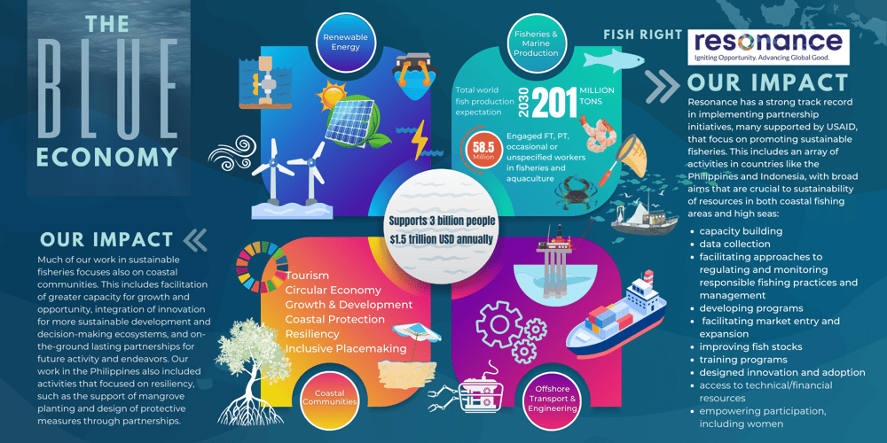 What is the Blue Economy?